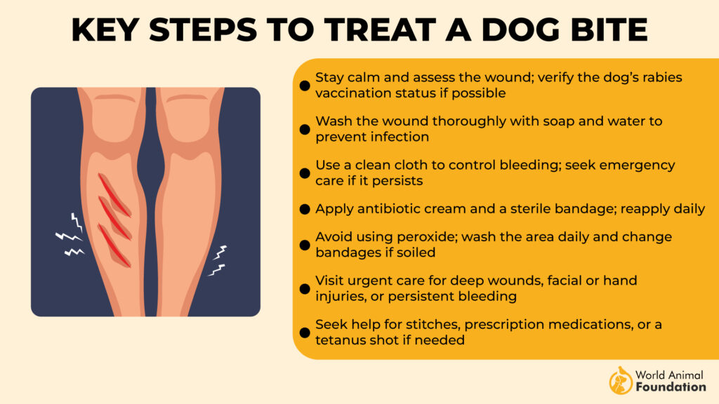 7 Guard Dog Breeds With The Strongest Bite Force - Inhenocha.com