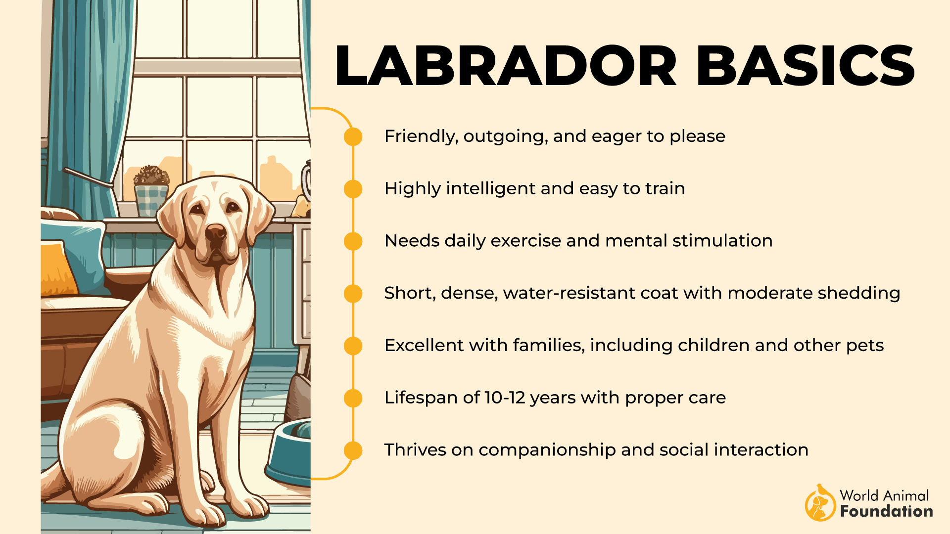 7 Dog Breeds Similar To Labradors - Avesei.com