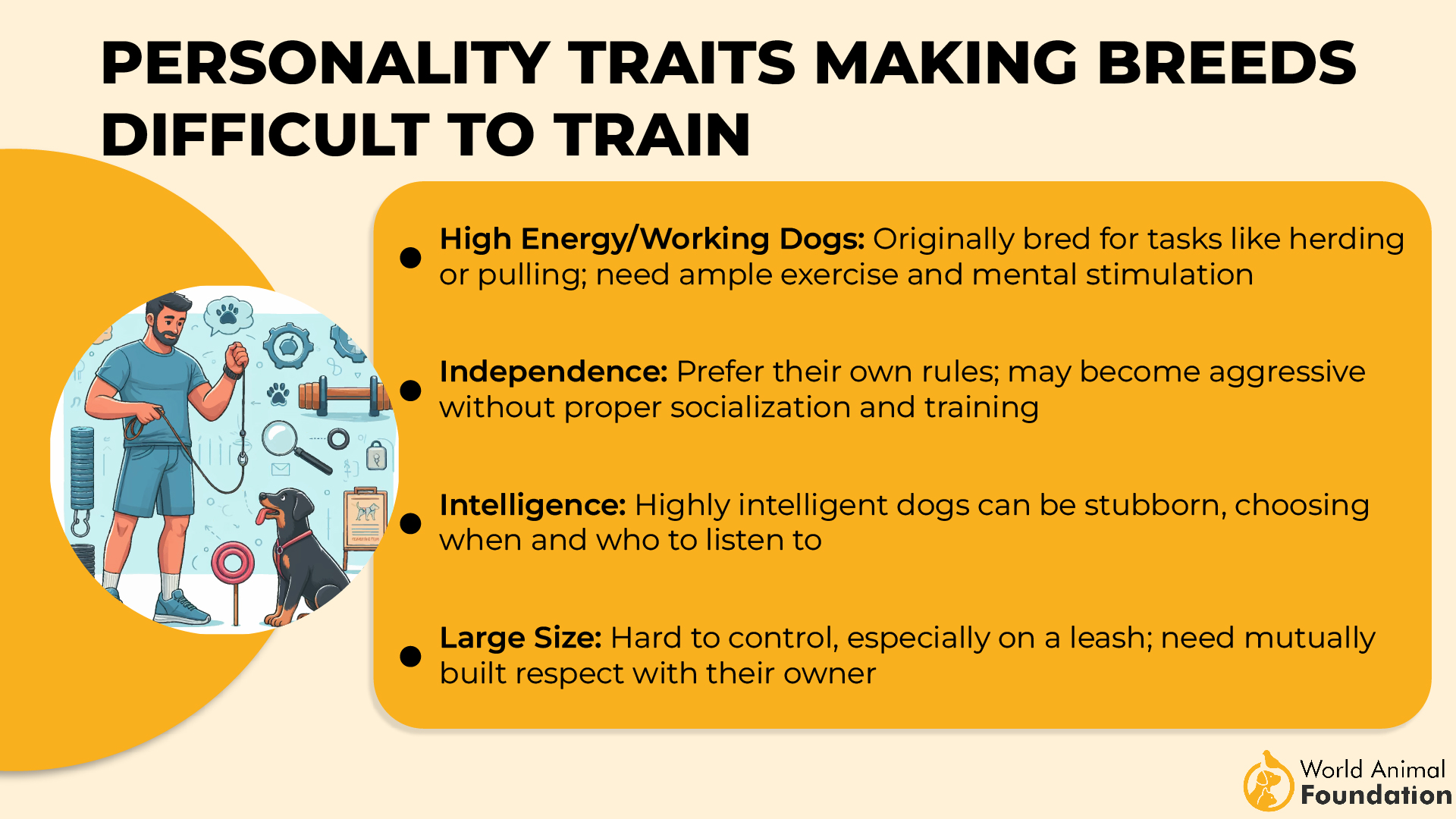 7 Hardest Dog Breeds To Train For The Experienced Owner - Avesei.com