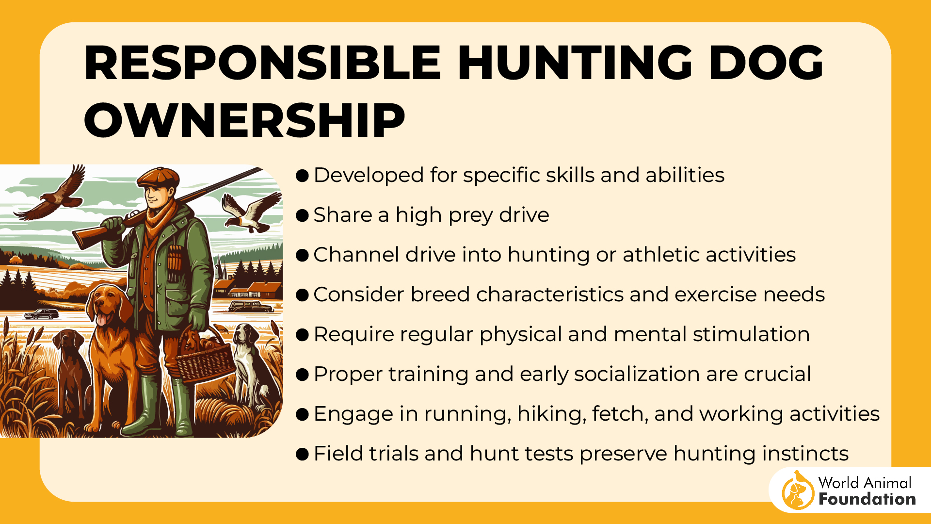 9 Best Bird Hunting Dog Breeds For Avid Hunters - Tededer.com