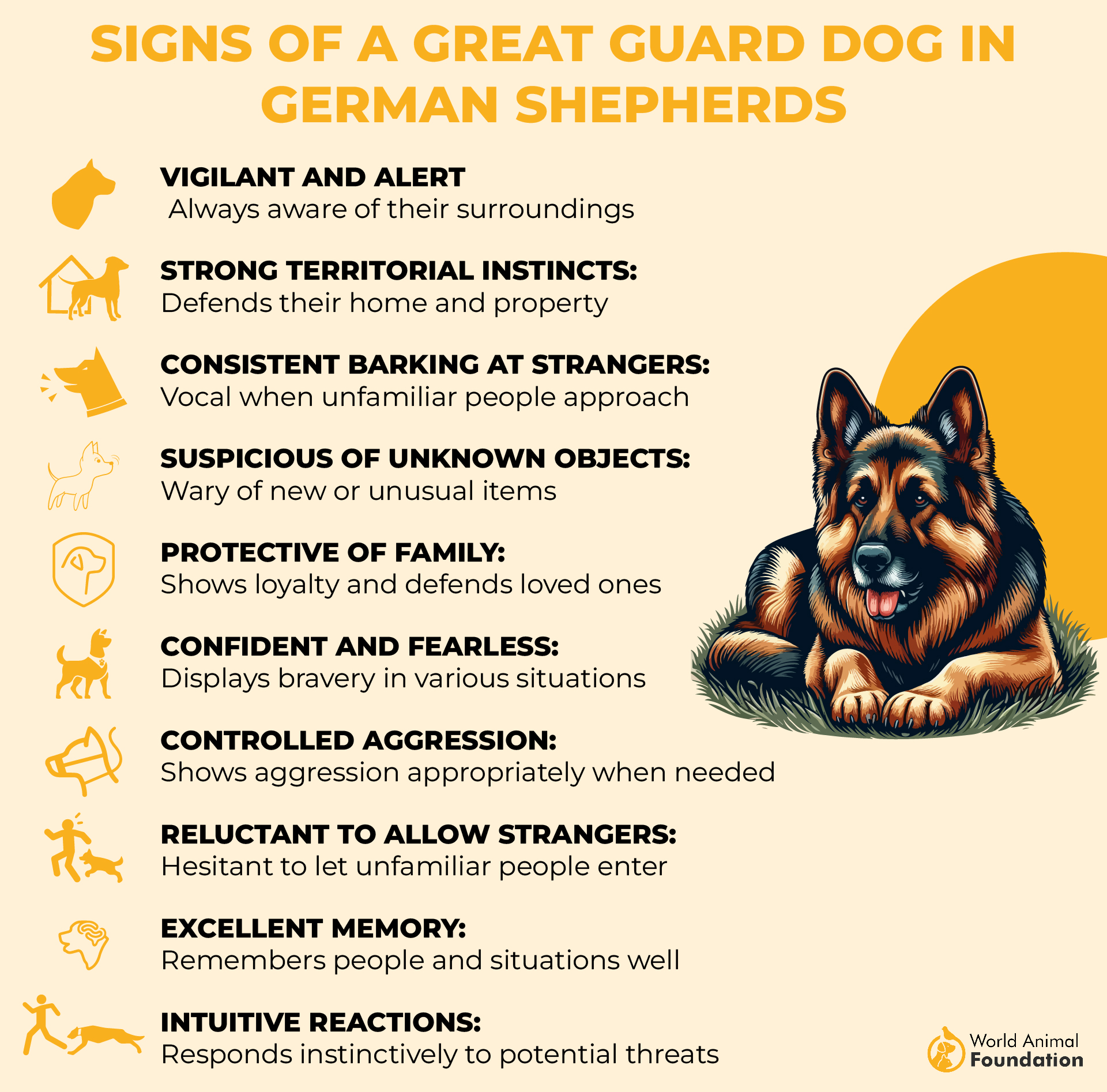 7 Best Guard Dog Breeds With Pointy Ears - Tededer.com