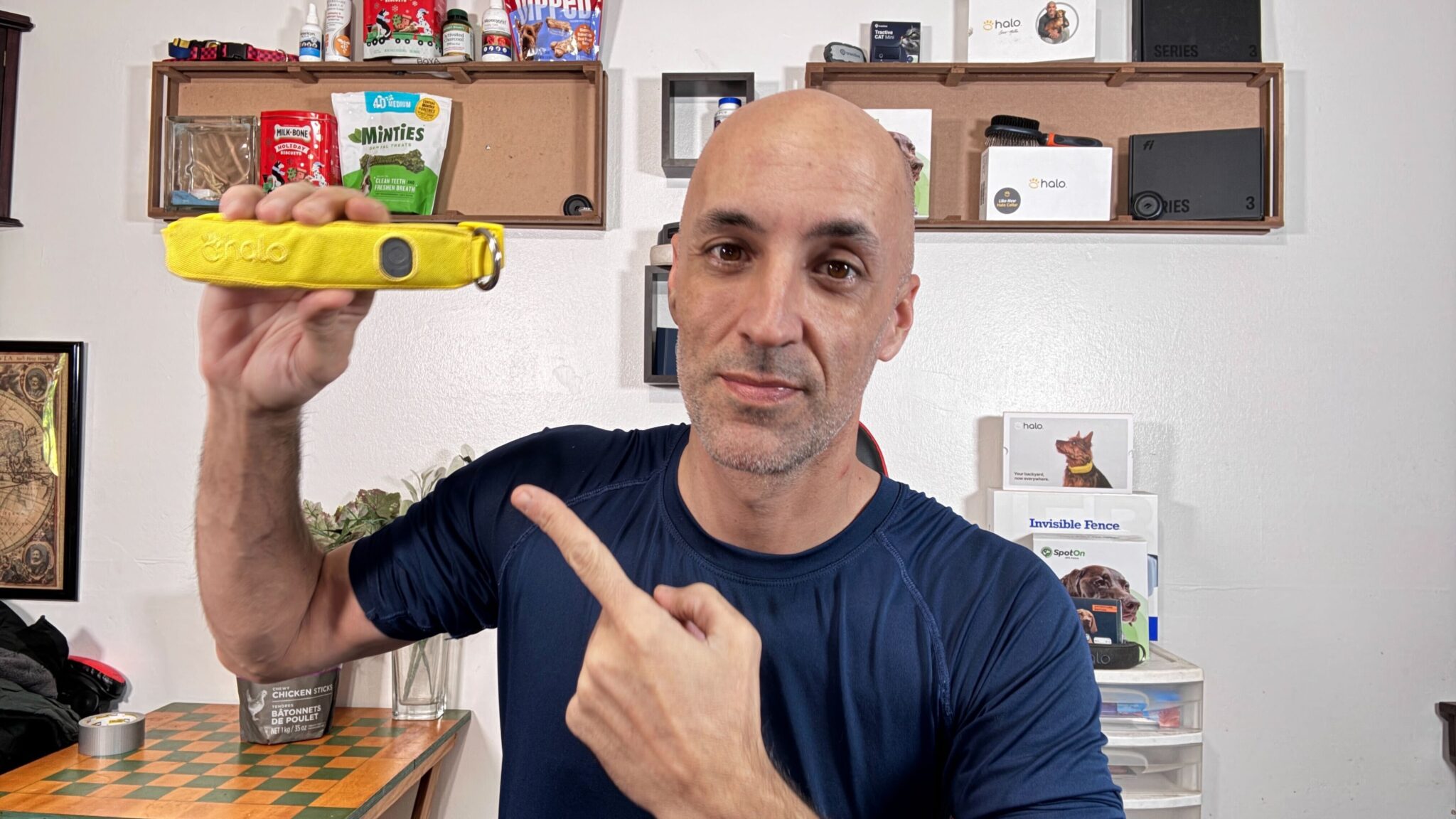 6 Best Invisible Dog Fences [Tested In April 2025]