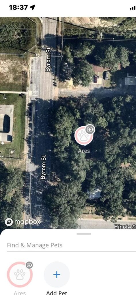 6 Best Invisible Dog Fences [Tested In April 2025]