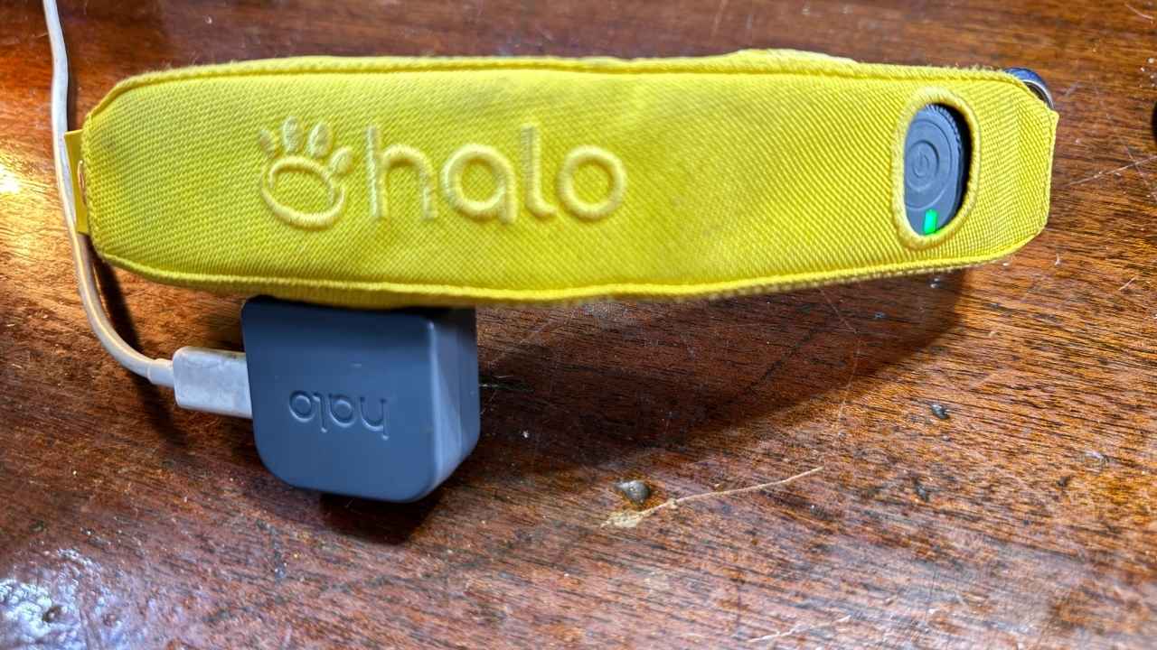 Halo Collar 4 Review [I Tested It In December 2024] - Ethawi.com