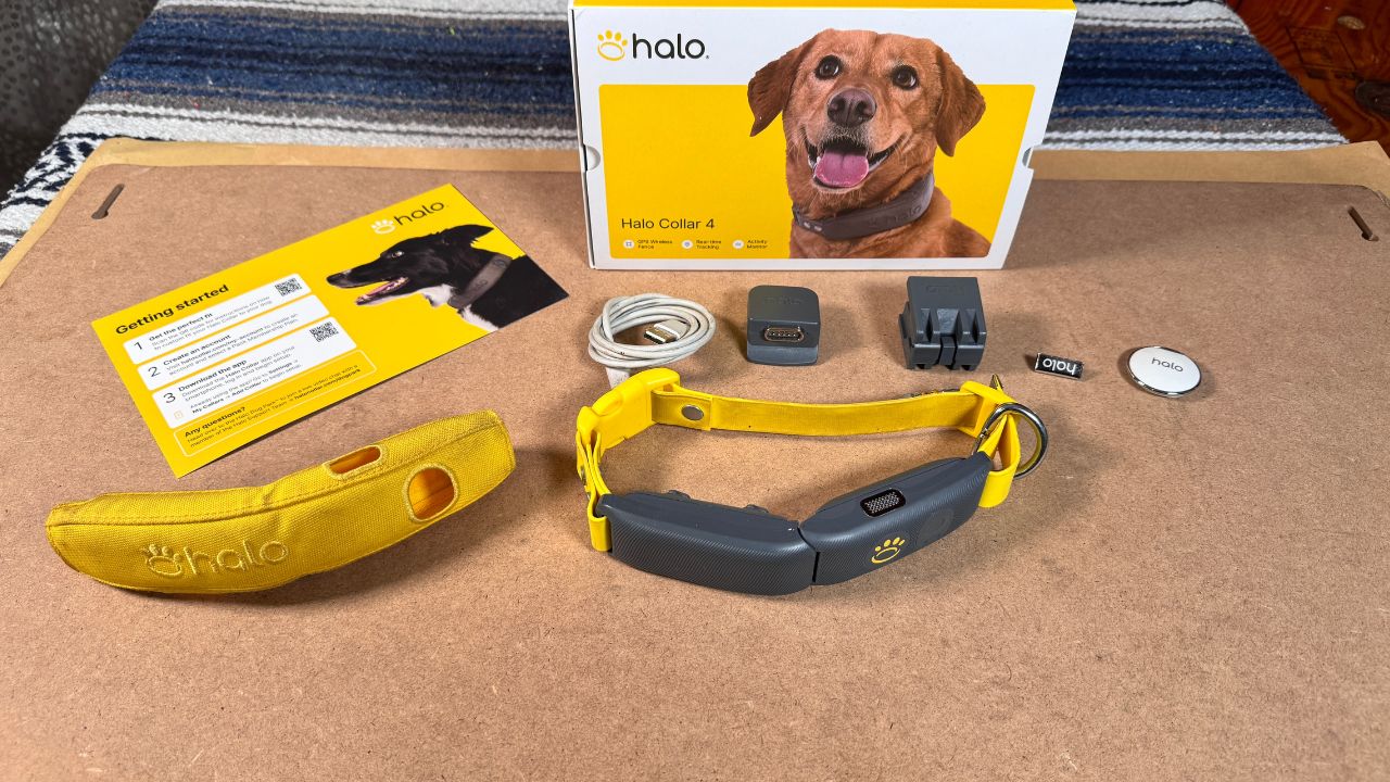 Best GPS Dog Fence [Hands-On Tested In March 2025]