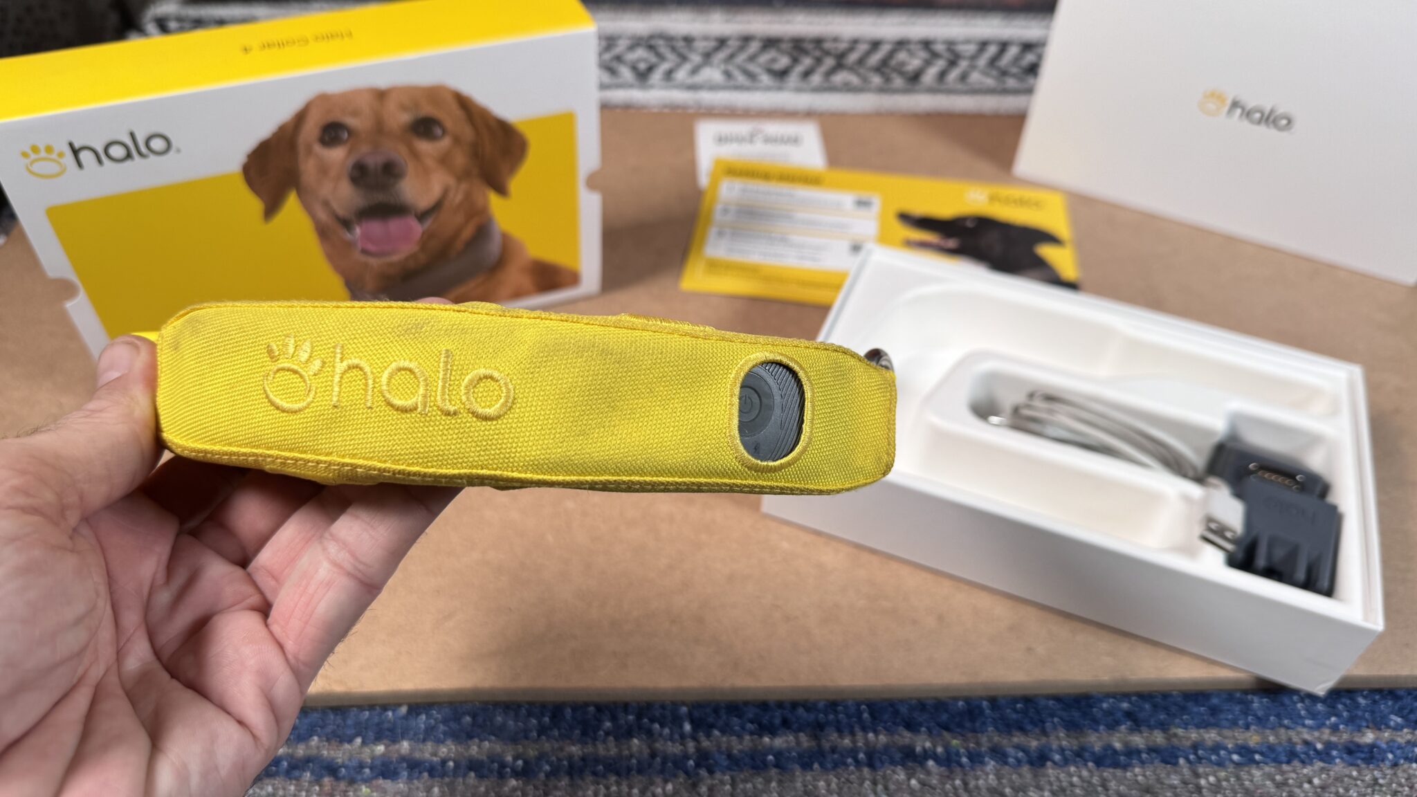 6 Best Invisible Dog Fences [Tested In April 2025]