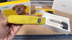 6 Best Invisible Dog Fences [Tested In April 2025]