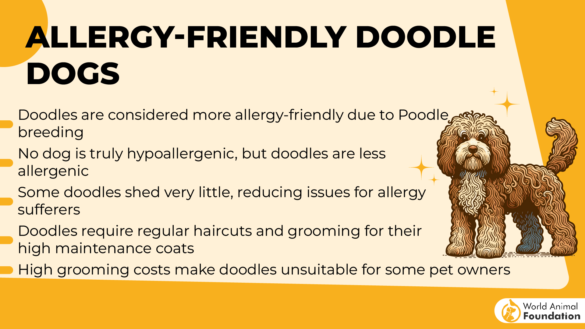 10 Inexpensive Dog Breeds That Don’t Shed - Tededer.com