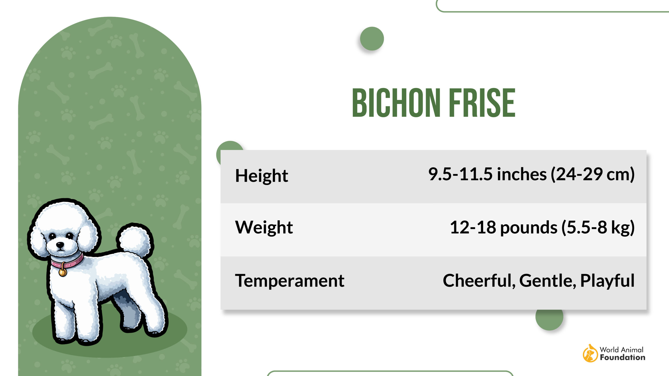 10 Dog Breeds That Don't Drool - Cerfiem.com