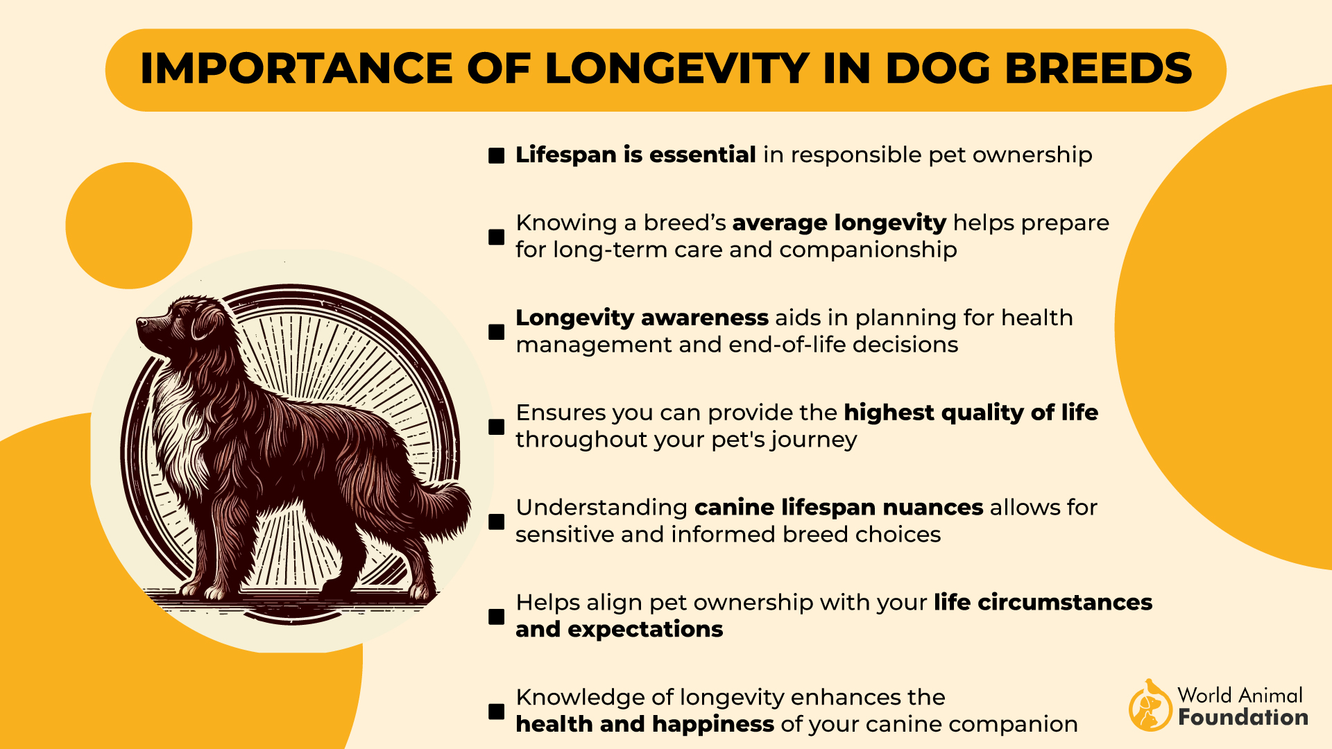 7 Longest Living Large Dog Breeds: Top Choices For Longevity - Cerfiem.com