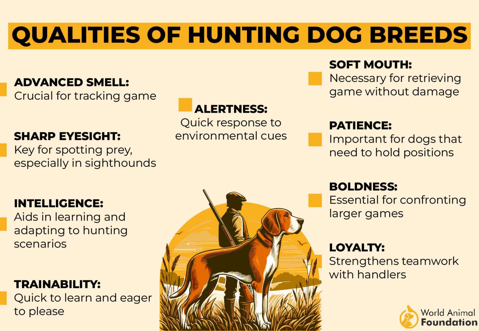 10 Dog Breeds For Hunting Rats & Mice - Tededer.com