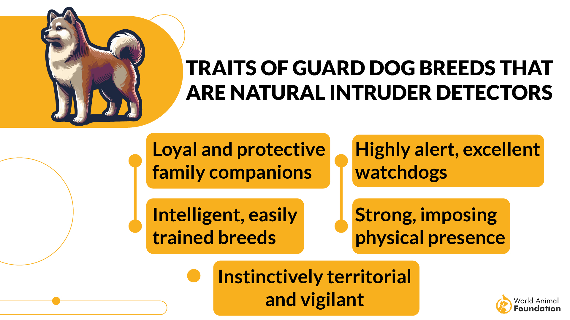 7 Different Types Of Boxer Dog Breeds - Ethawi.com