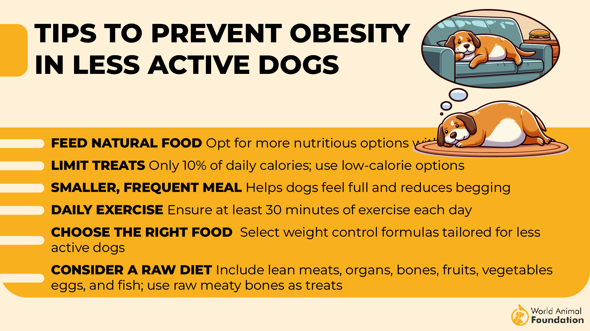 9 Dog Breeds Most Prone To Obesity And How To Prevent It - Ethawi.com