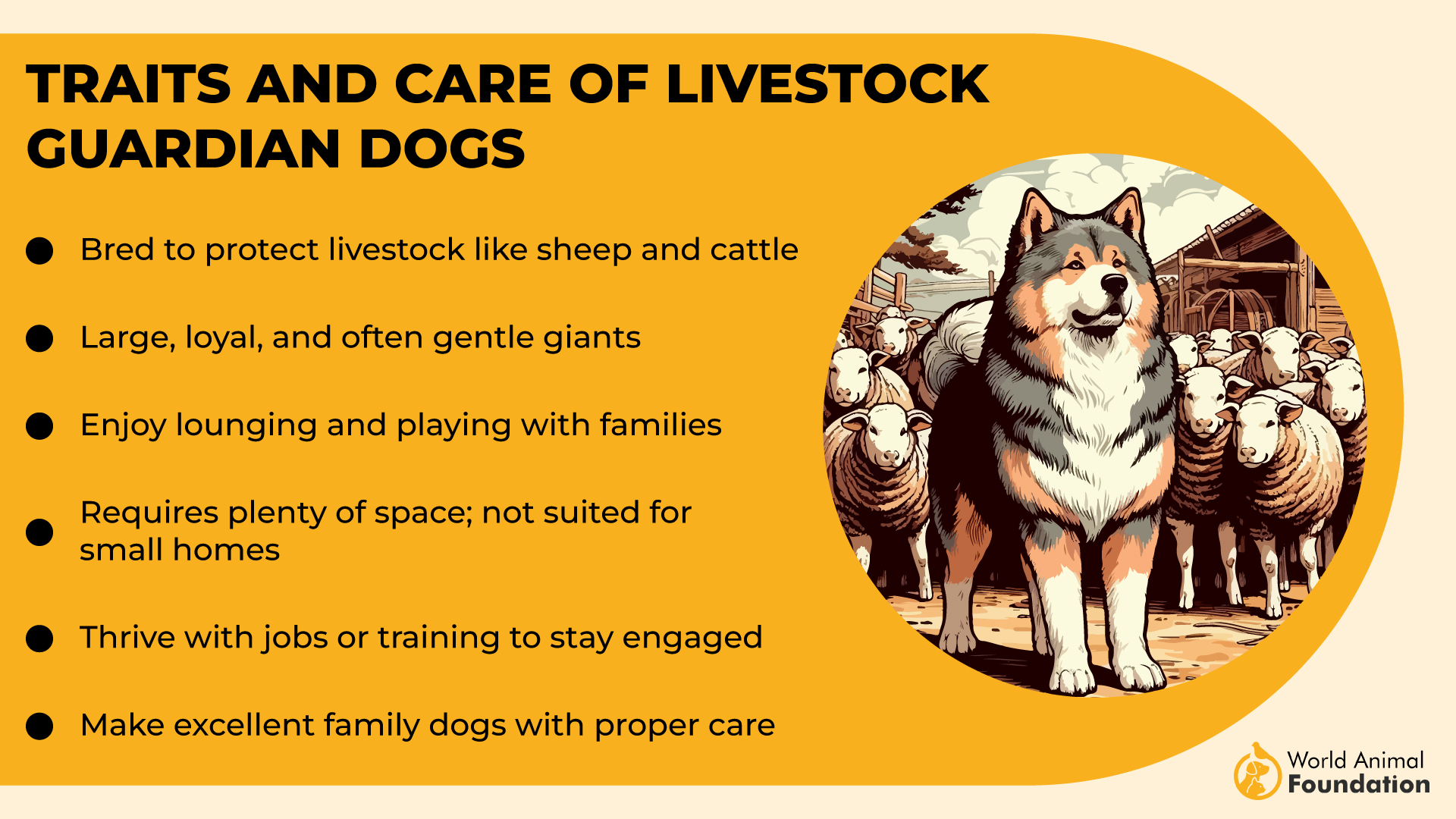 7 Ranch Dog Breeds For Hardworking Farms And Ranches - Tededer.com