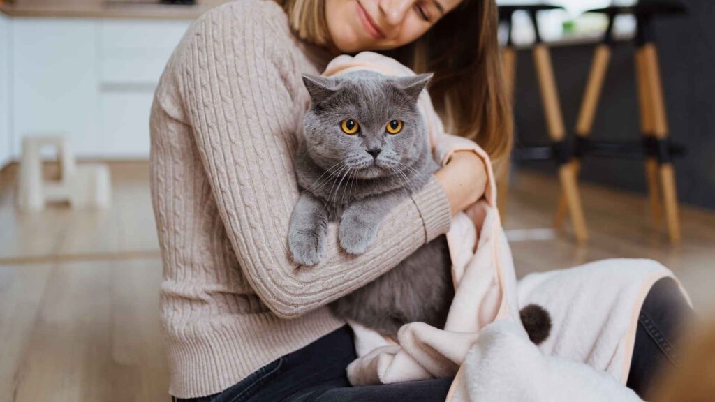7 Least Aggressive Cat Breeds That Are Gentle And Friendly
