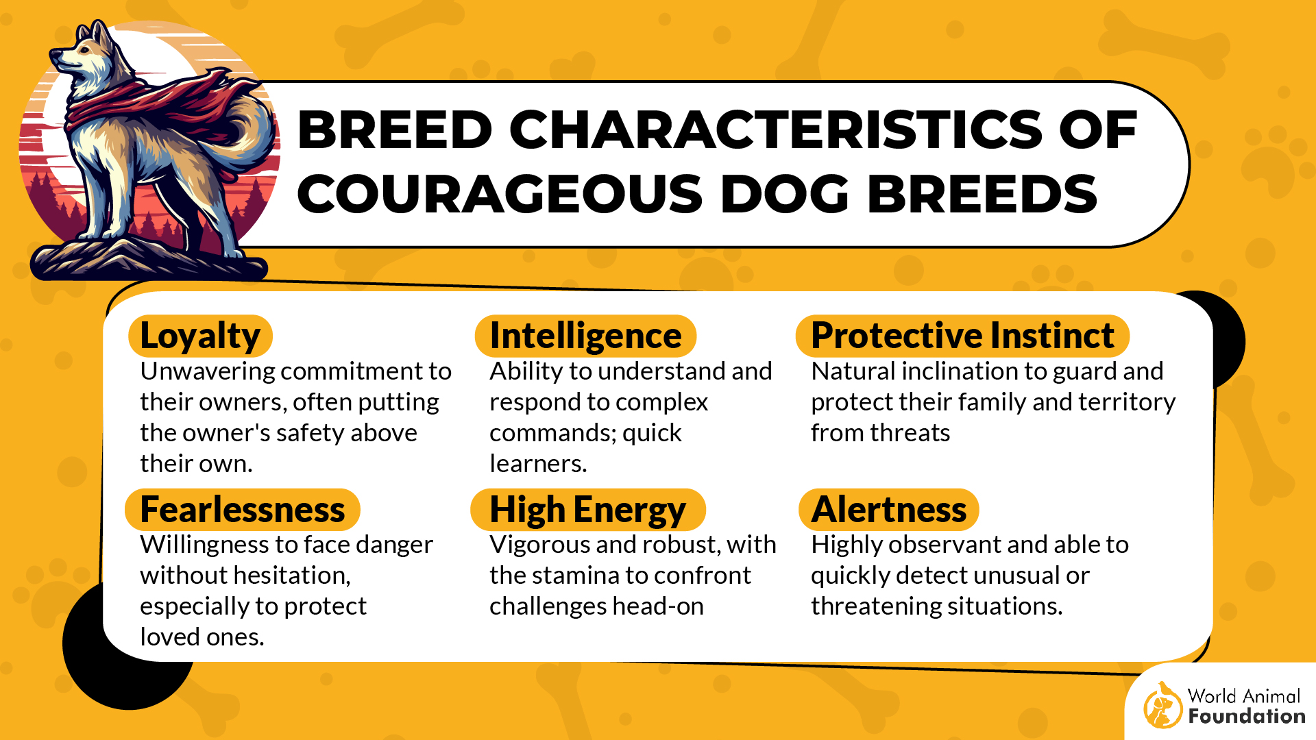 Most Aggressive Dog Breeds Chart Dog Bite Statistics: 38 Most
