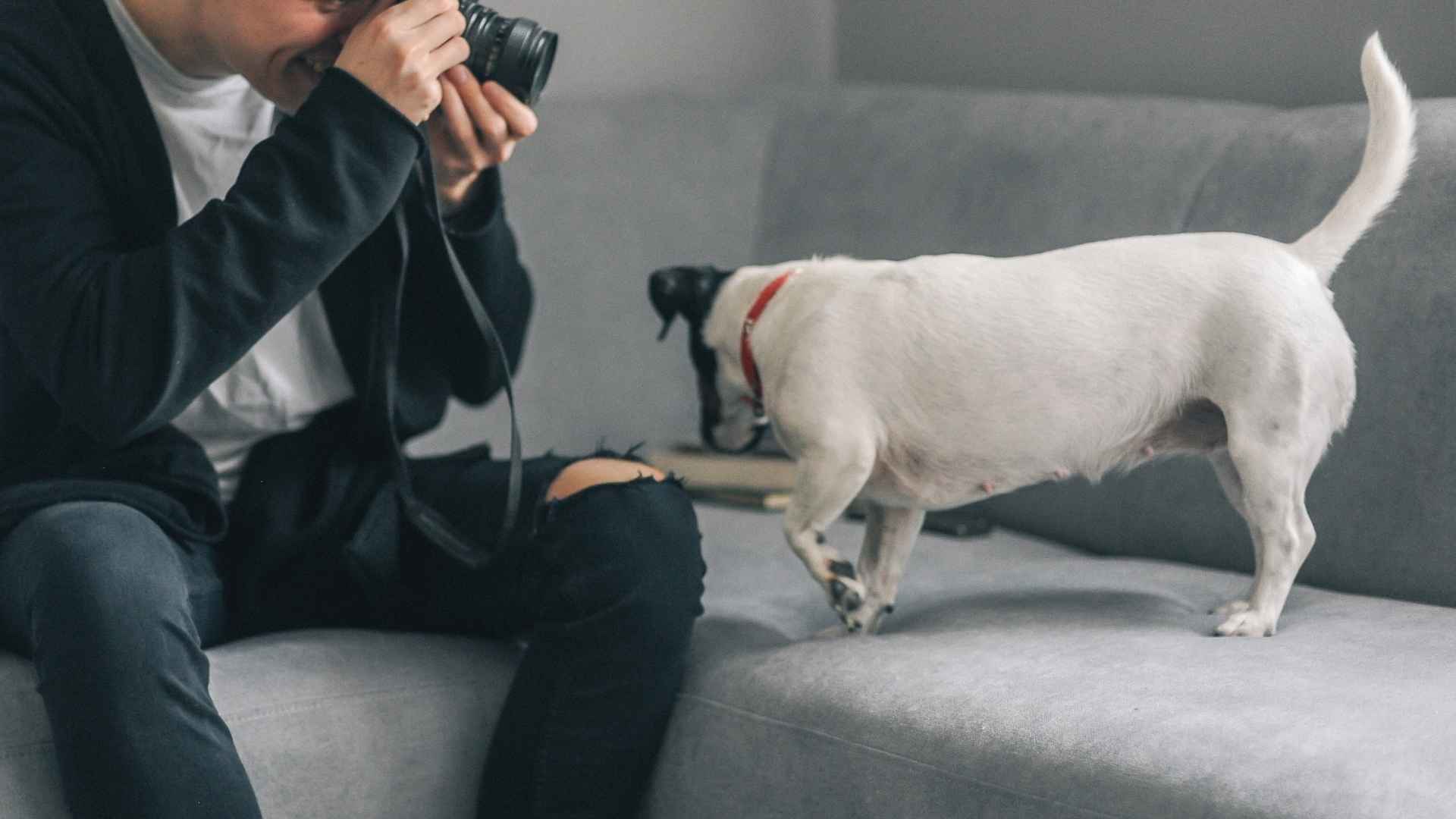 7 Favorite Gen Z Dog Breeds That Are Taking Over Social Media ...