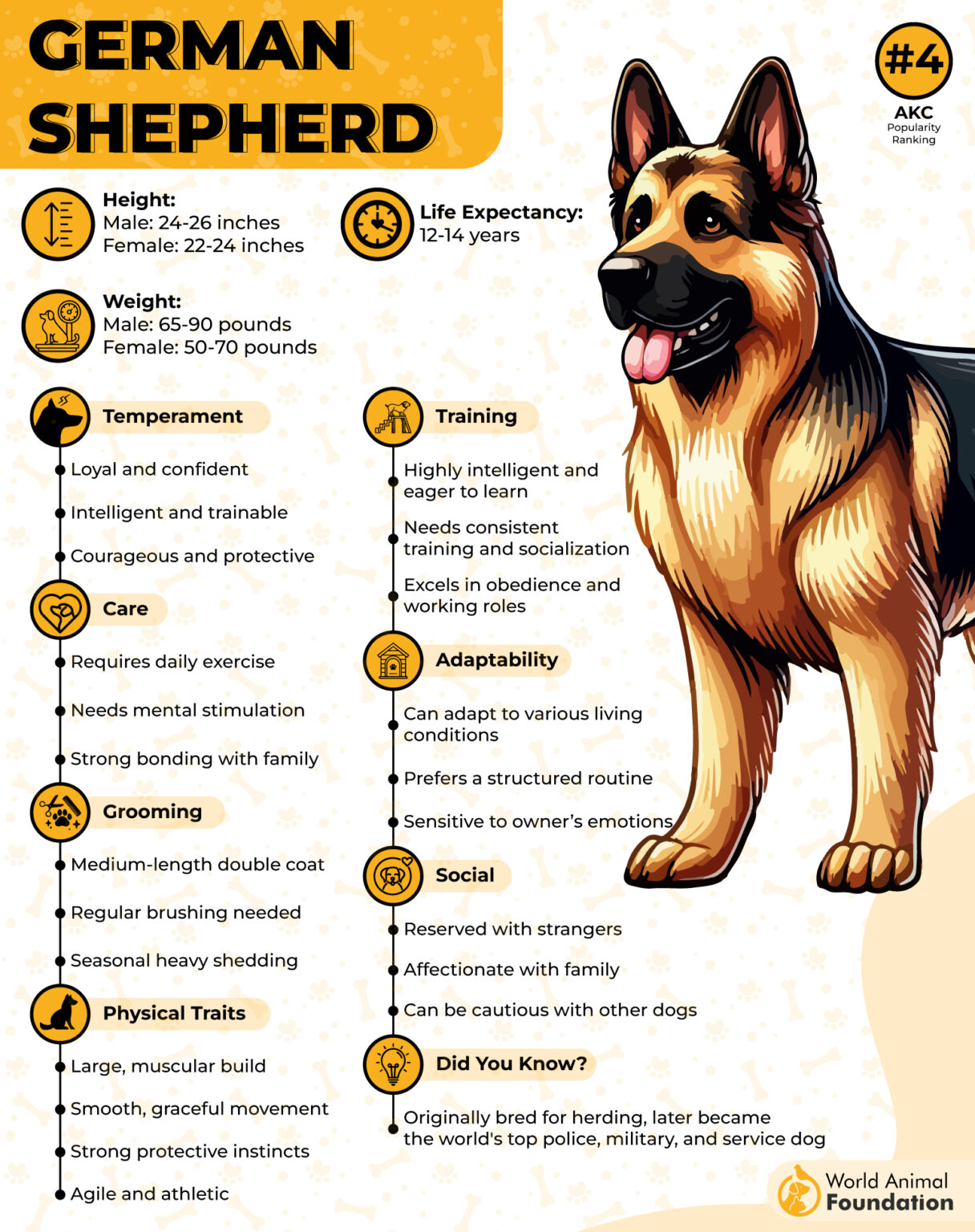 7 Best Guard Dog Breeds For Personal Protection