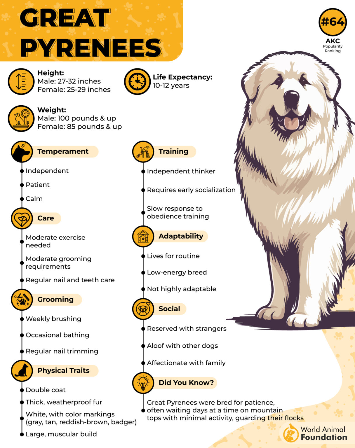7 Best Guard Dog Breeds For Personal Protection