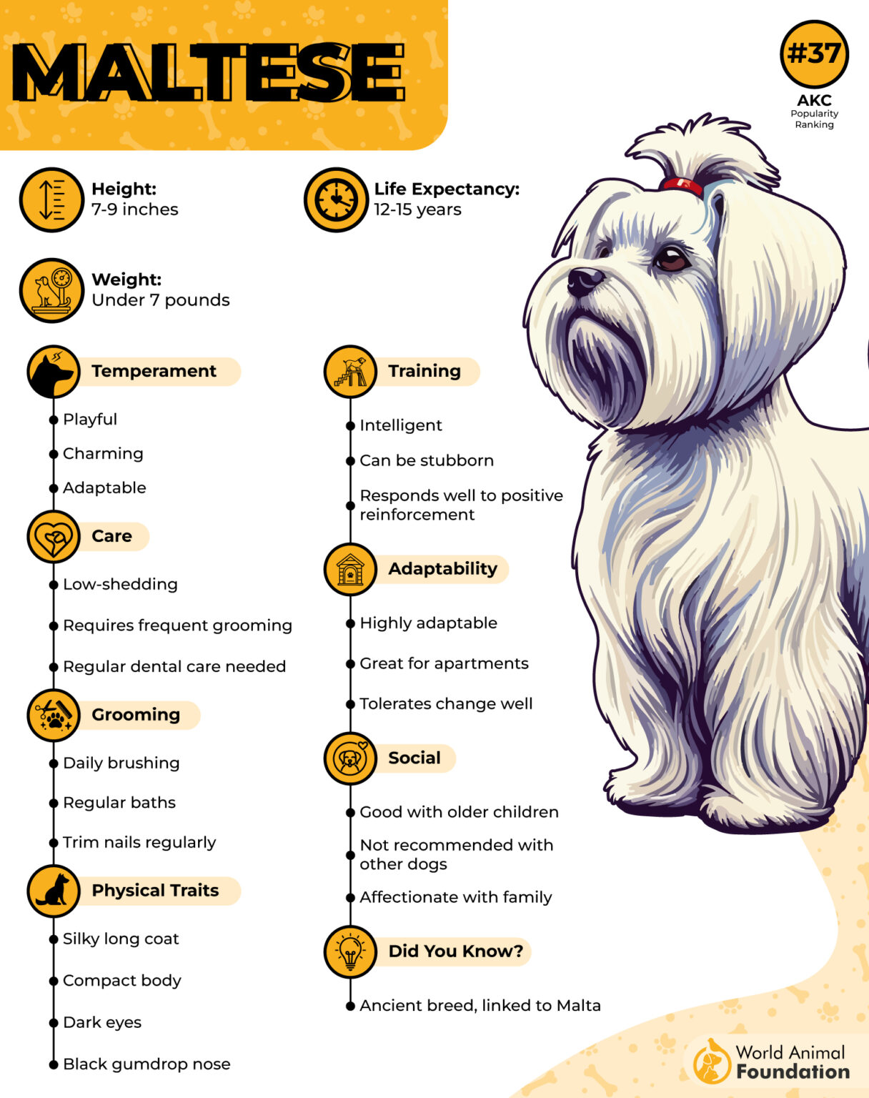 10 Best Dog Breeds For A Spotless And Fur-Free Home