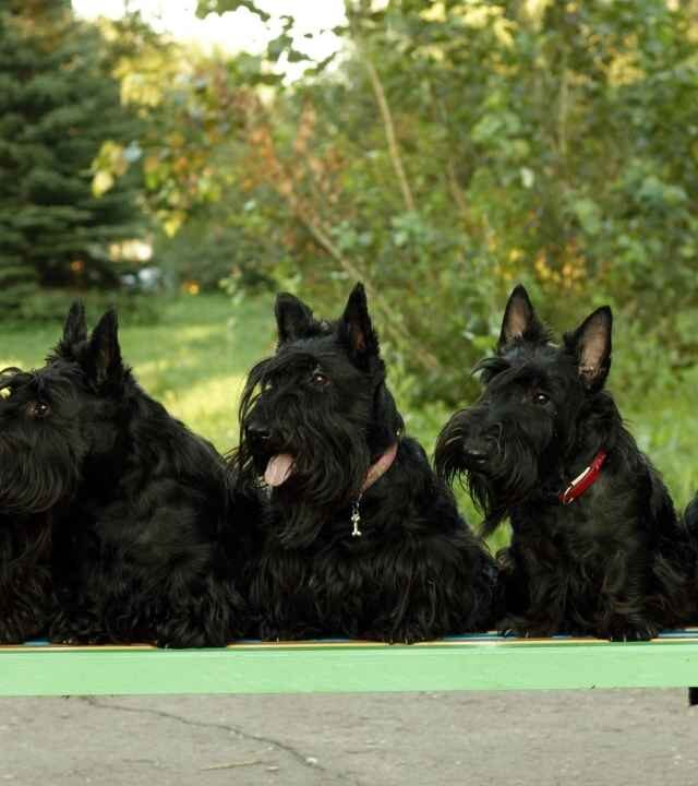 Unveiling Startling Trash Facts - Creating A Better Tomorrow