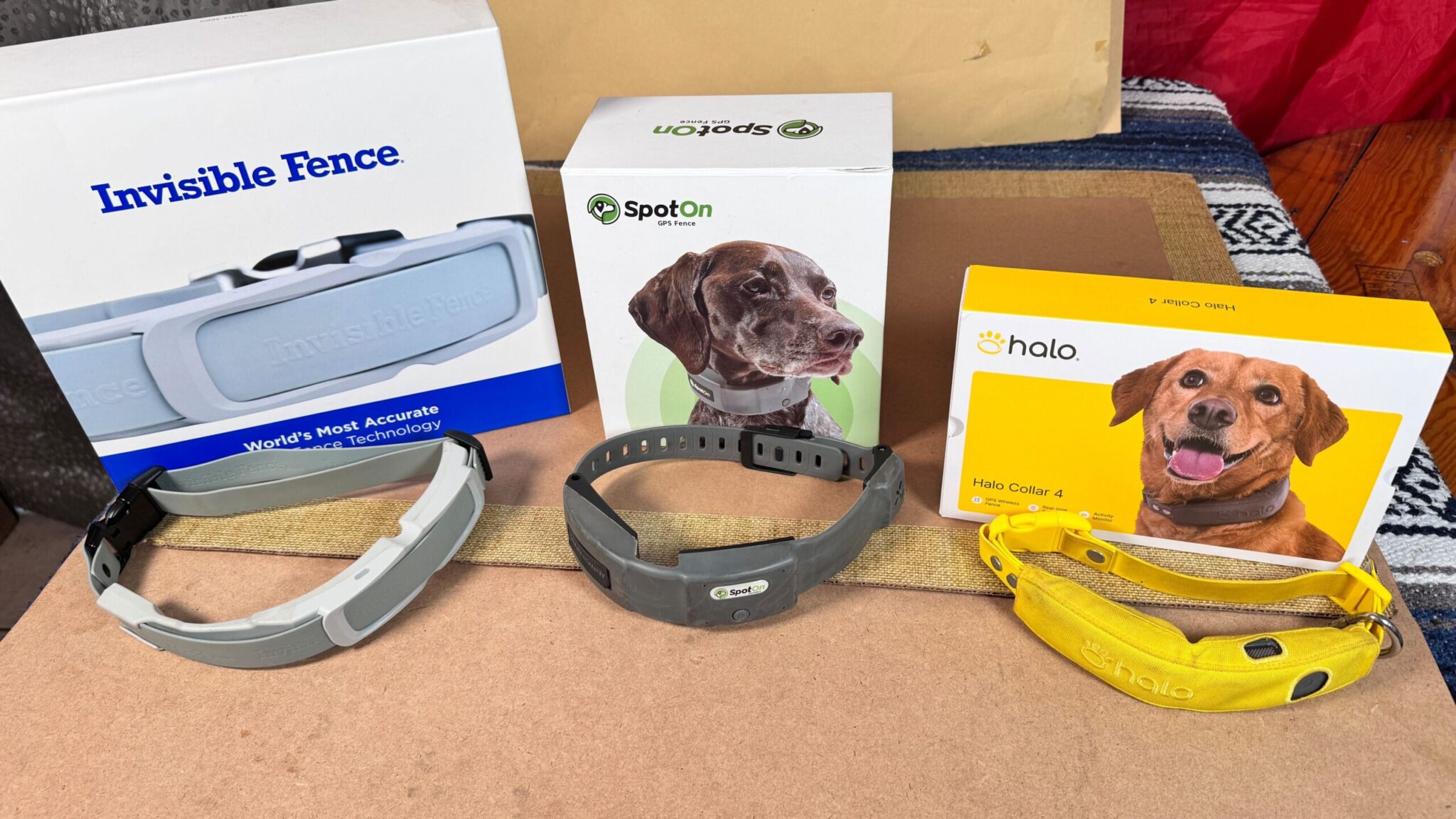 6 Best Invisible Dog Fences [Tested In April 2025]