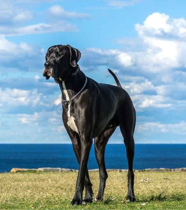 Unveiling Startling Trash Facts - Creating A Better Tomorrow