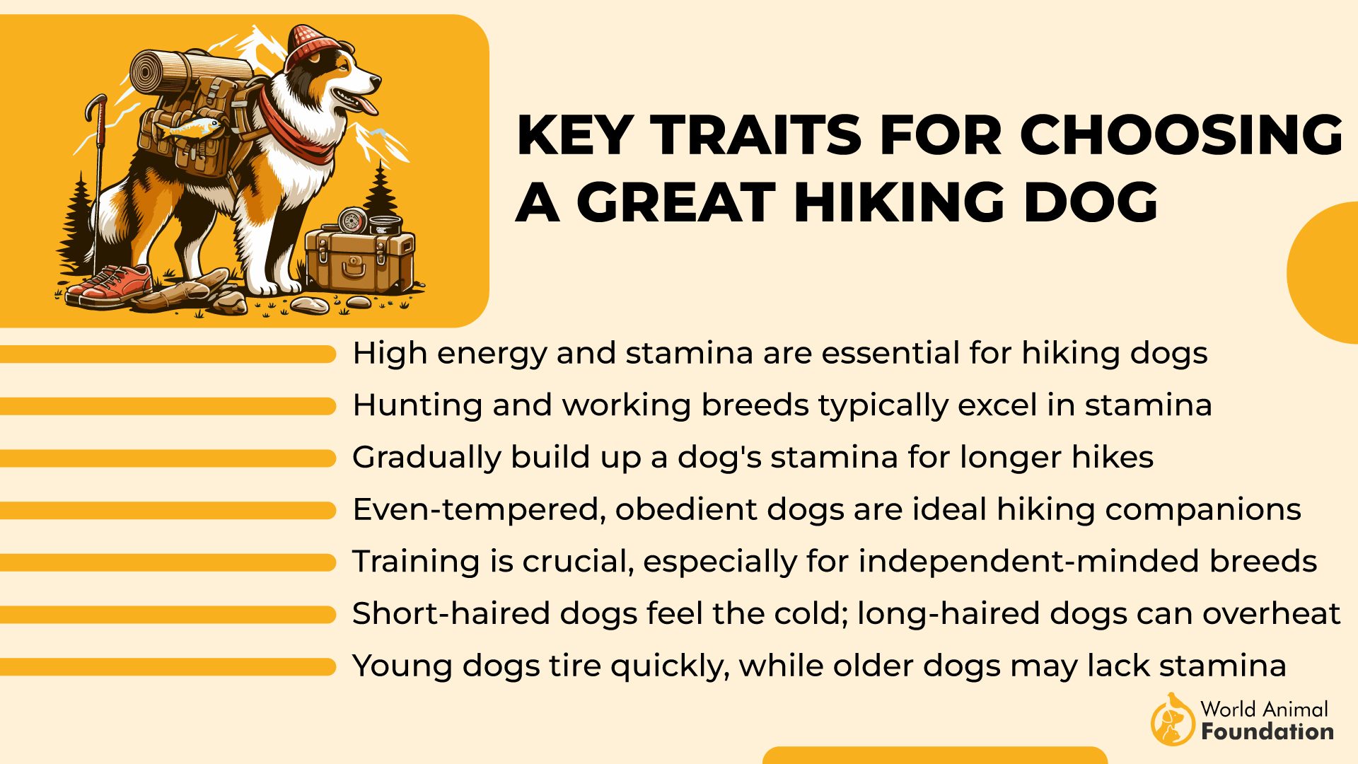 7 Best Hiking Dog Breeds For Outdoor Adventures - Tededer.com