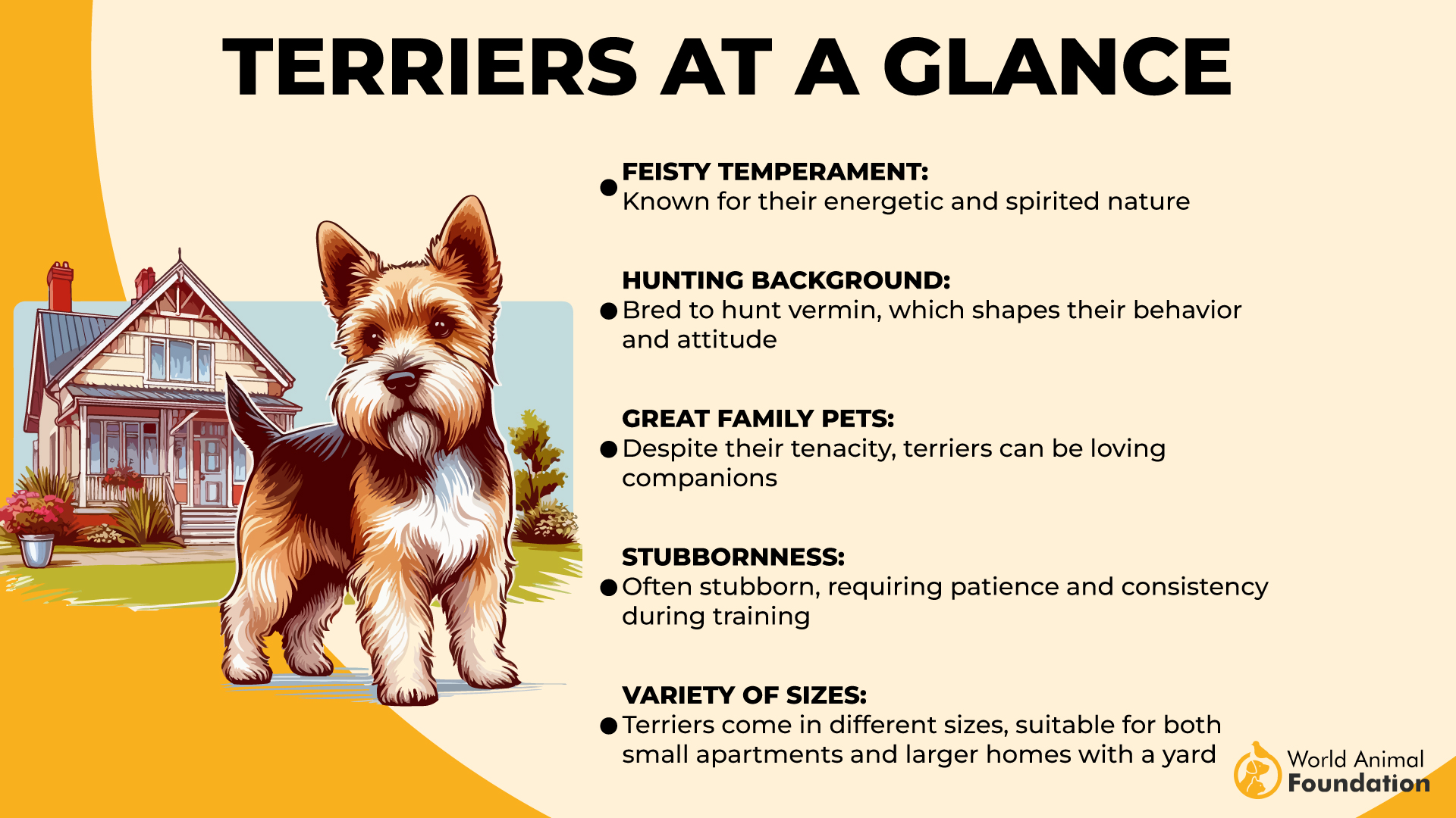 7 Dog Breeds That Look Like Bulldogs - Tededer.com