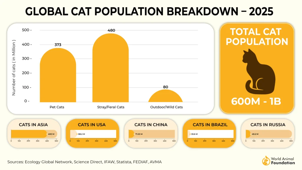 How Many Cats Are In The World In 2025? Stats & Facts