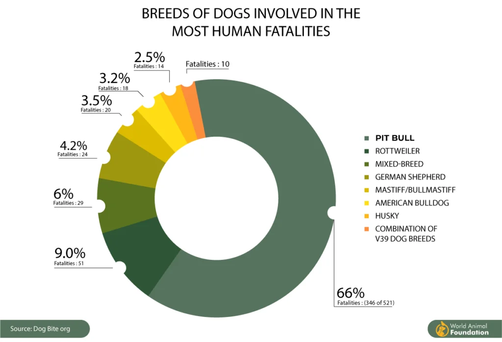 Dog Bite Statistics 2025: Attacks & Fatalities