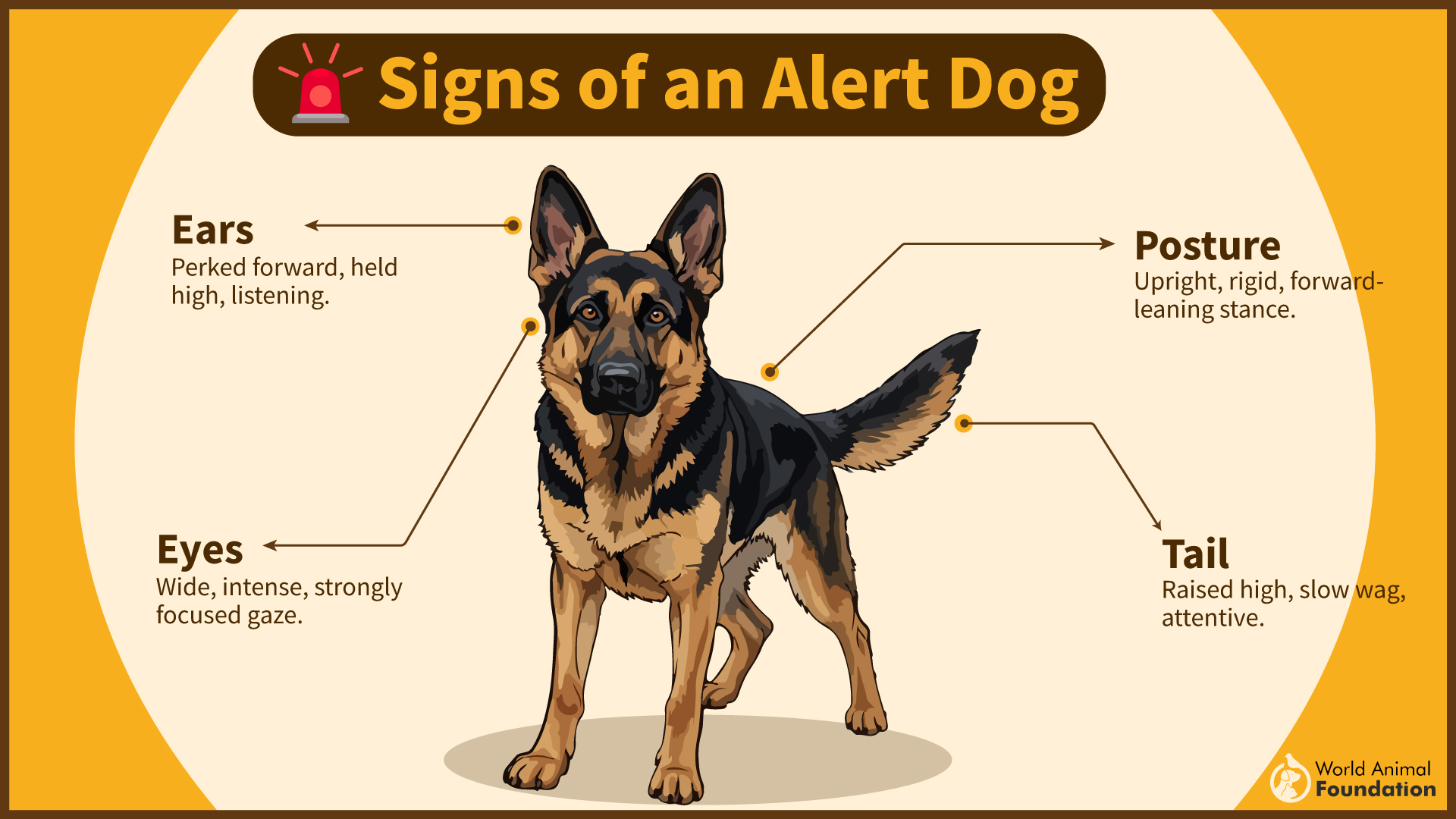 7 Most Alert Dog Breeds For Protection