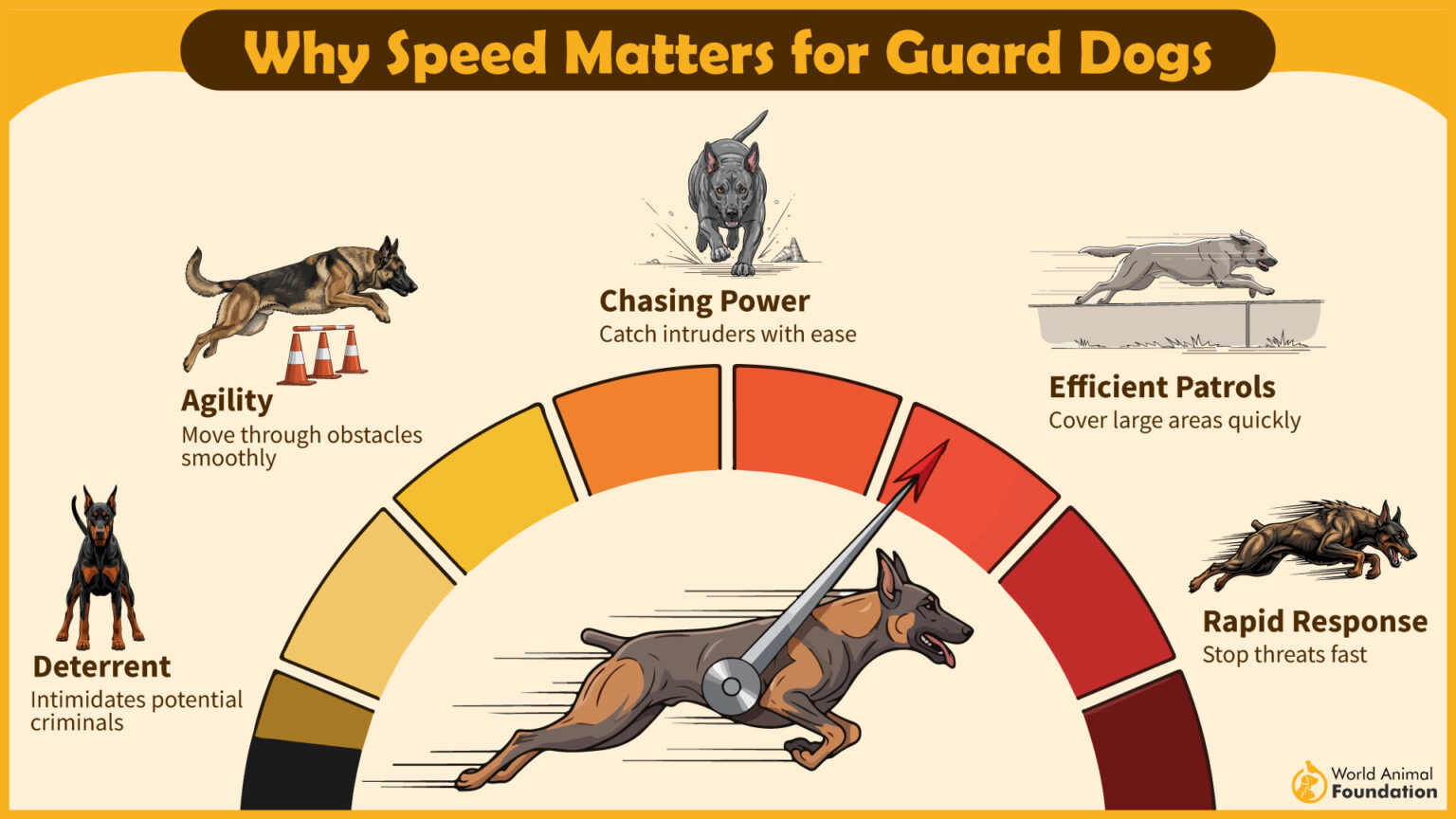 7 Fastest Guard Dog Breeds For Ultimate Protection