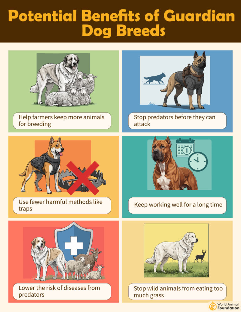 10 Best Guard Dog Breeds To Defend Against Animal Predators