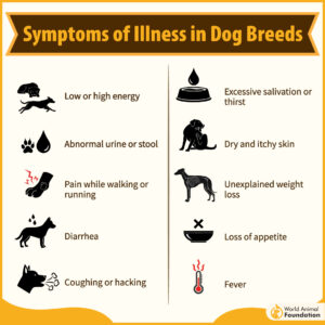 9 Most Unhealthy Dog Breeds That Need Proper Handling