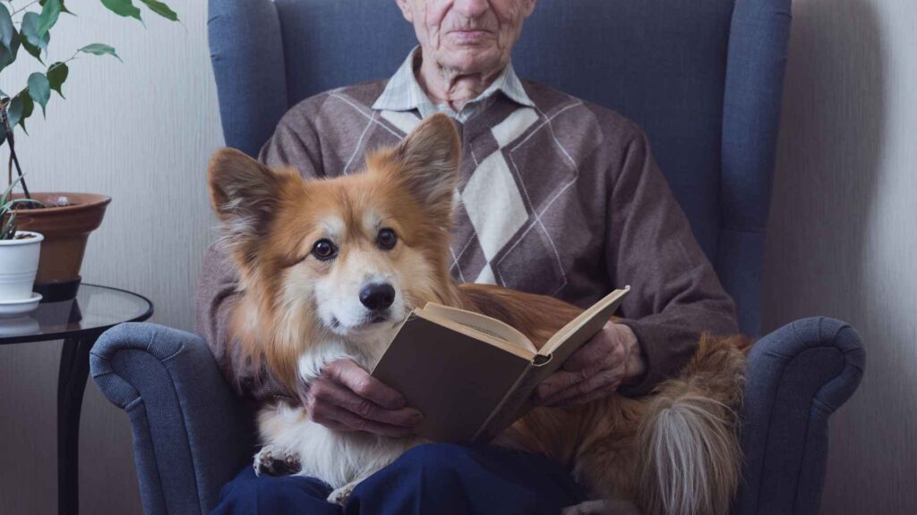 7 Best Senior-Friendly Docile Dog Breeds