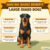 10 Largest Guard Dog Breeds Ideal For Big Yards