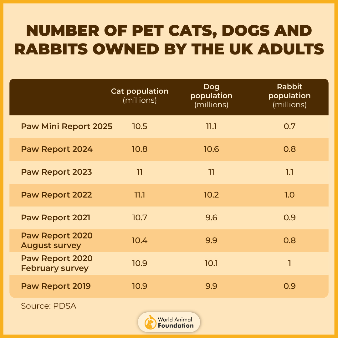 UK Pet Ownership Statistics In 2026