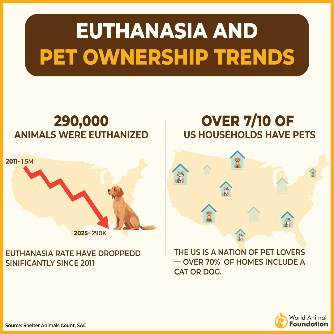 Animal Shelter Statistics & Facts For 2026