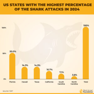 Shark Attack Statistics Worldwide In 2026
