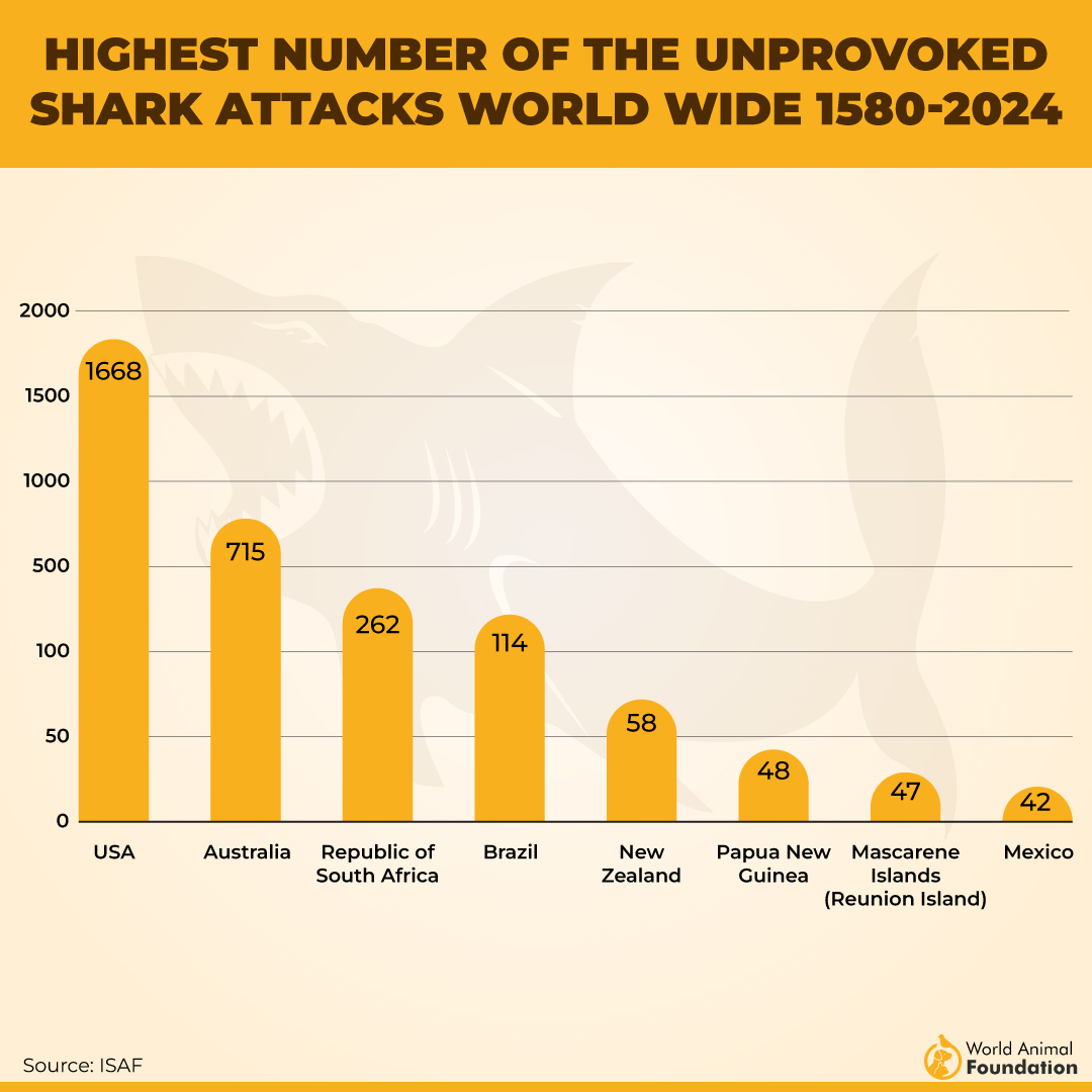 Shark Attack Statistics Worldwide In 2026