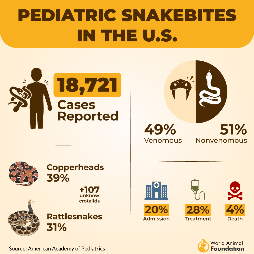Snake Bite Statistics By State [2026 Updated]
