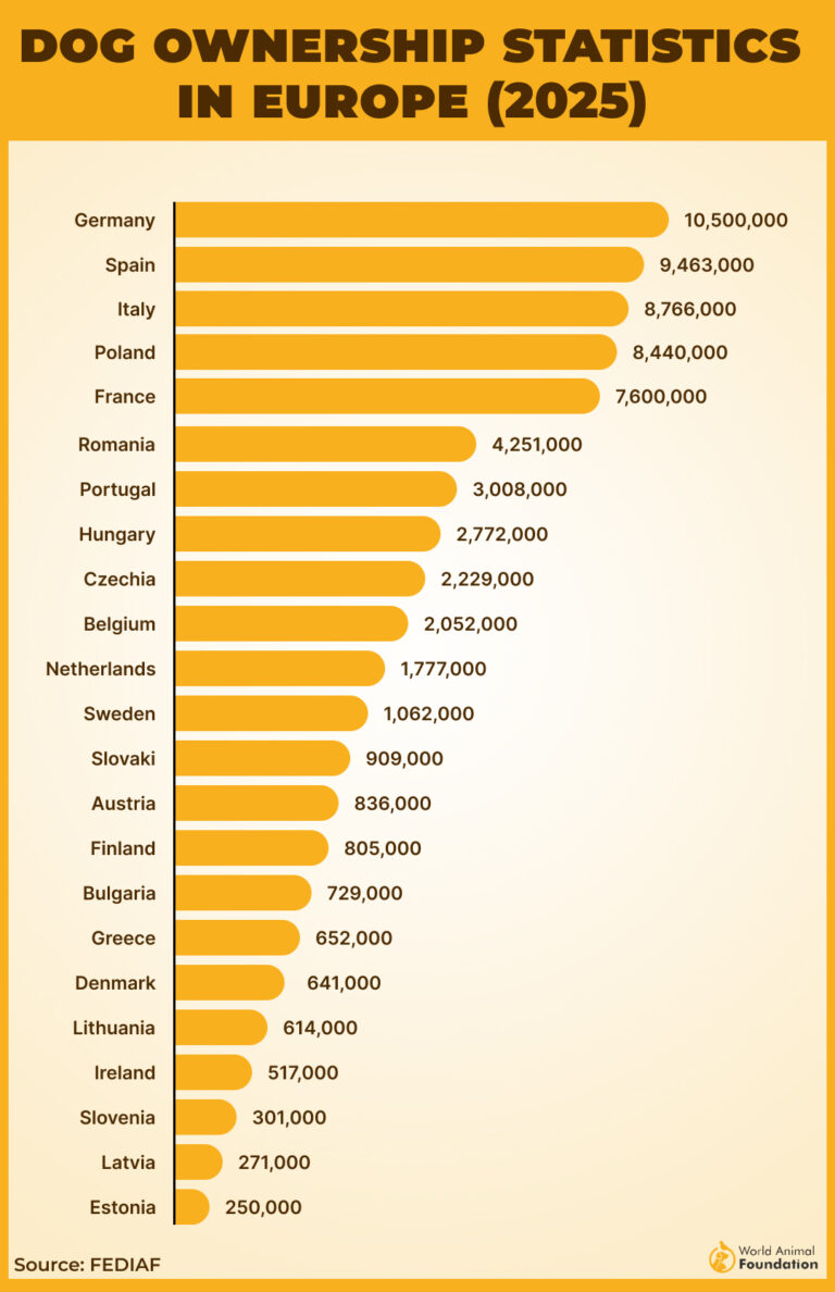 How Many Dogs Are In The World In 2026?
