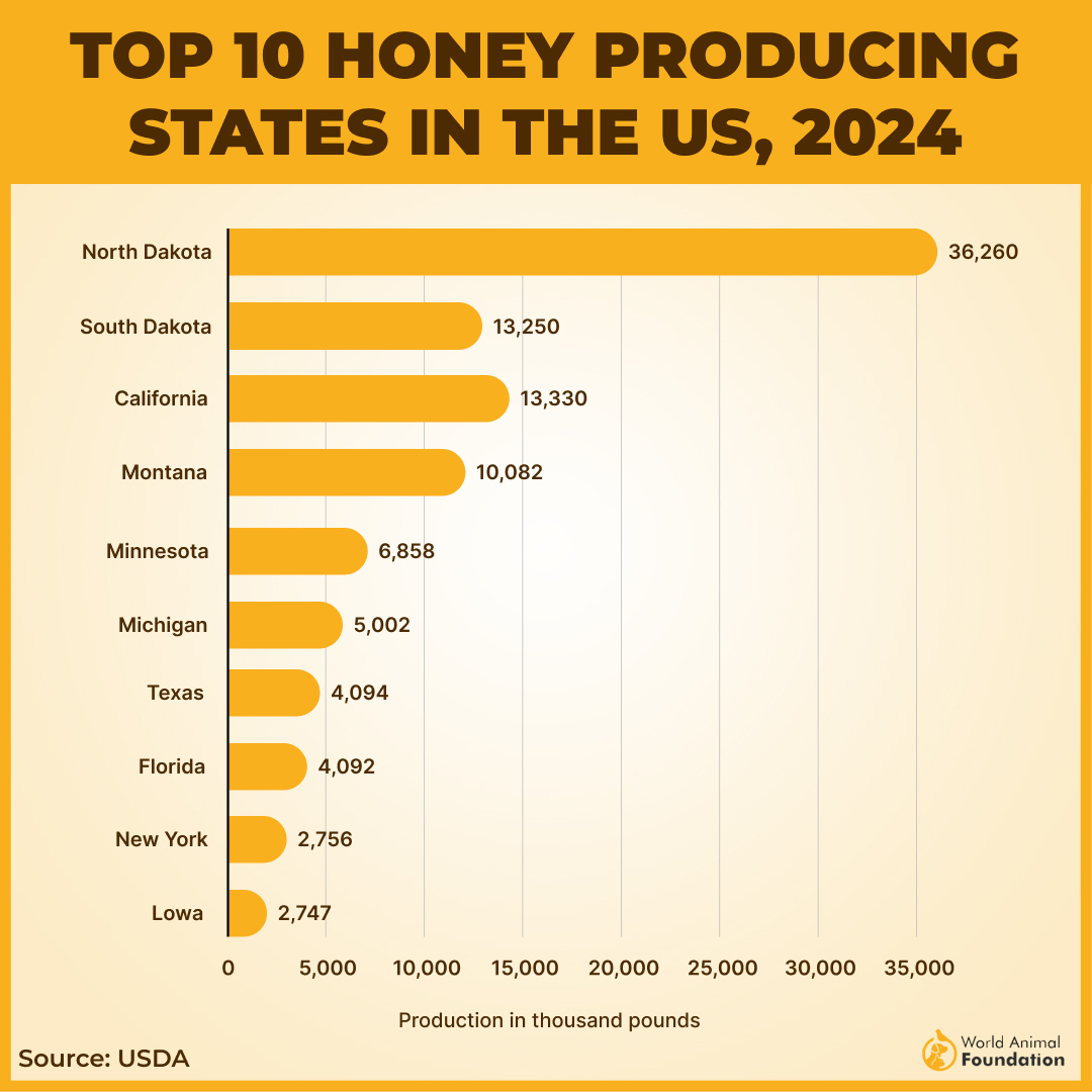 Bee Statistics And Facts You Should Know In 2026