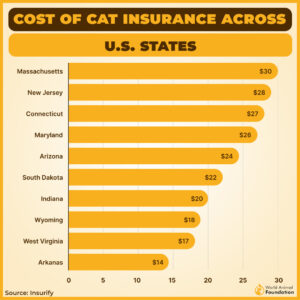 How Much Does A Cat Cost In 2026