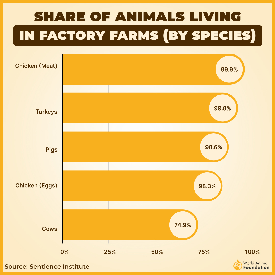 Factory Farming Statistics You Need To Know In 2026