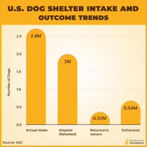 How Many Dogs Are In The US In 2026