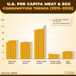 U.S. Meat Consumption Statistics & Facts To Know In 2026