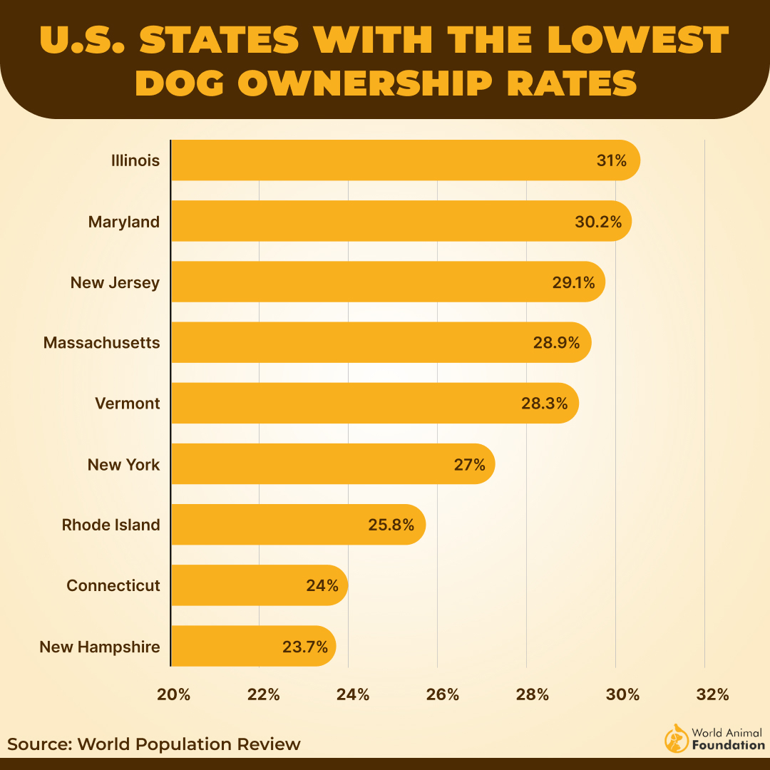 How Many Dogs Are In The US In 2026