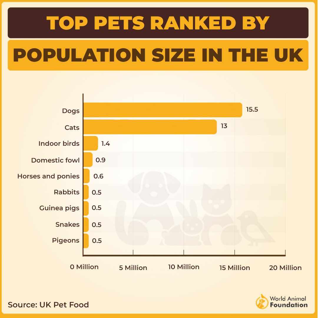Most Popular Pets In 2026